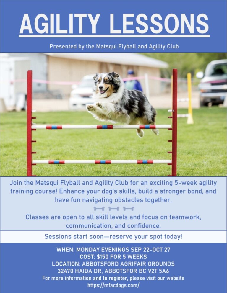 Fall 2025 Agility Lessons – Matsqui Flyball & Agility Club